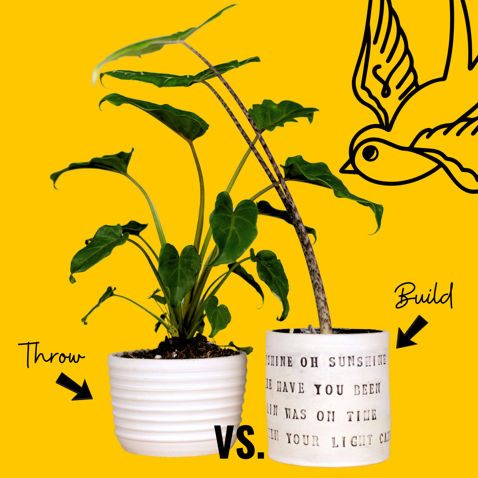 Smashed Clay + Studio – Smashed Clay + Studios