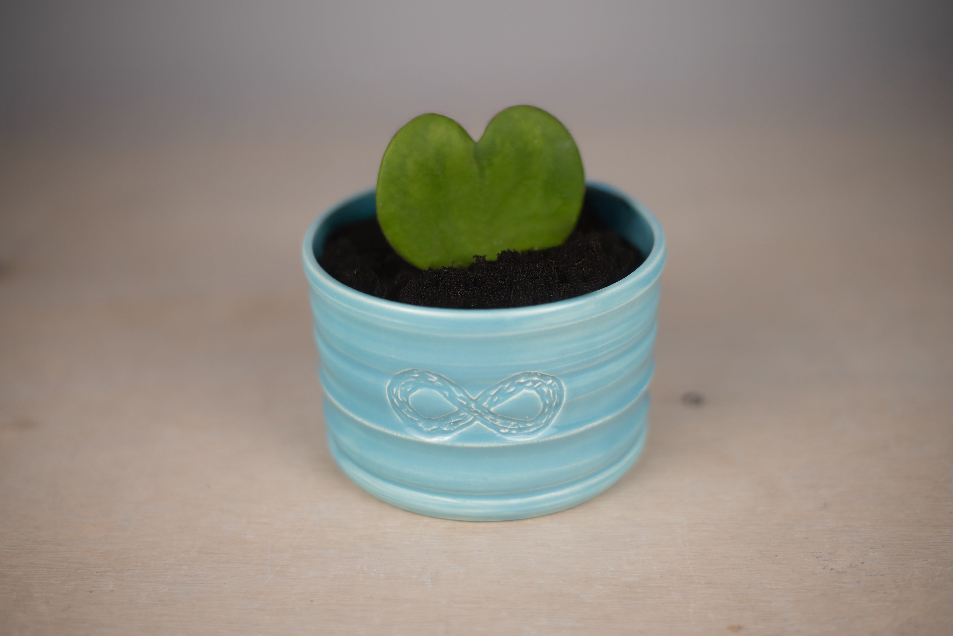 City Centre: Color + Shine – Smashed Clay + Studios